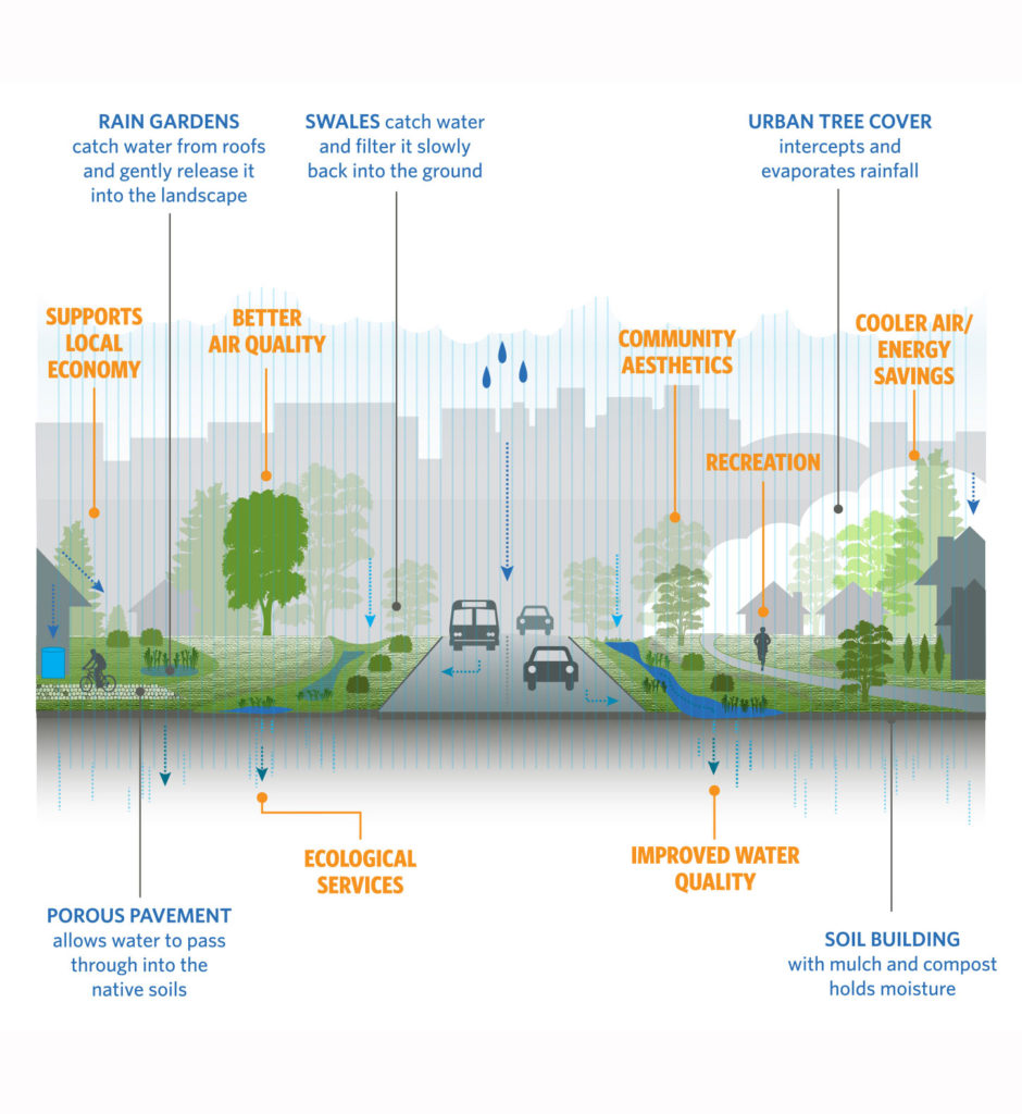 Different Types Of Urban Habitats at Franklin Norwood blog