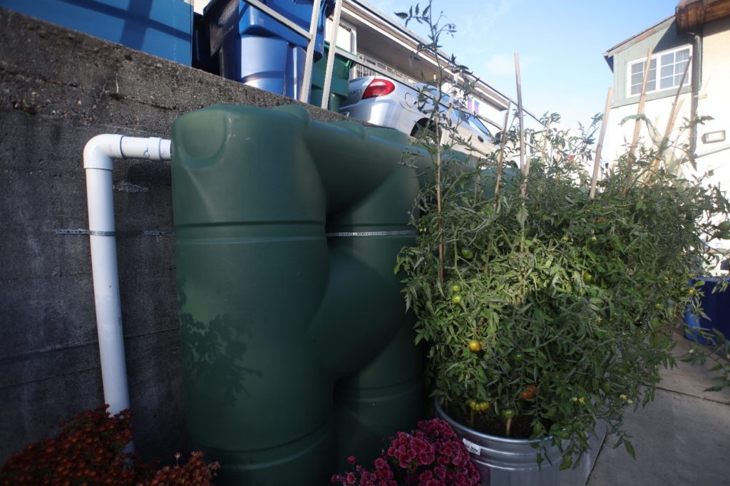 Meet the first Seattle restaurant to tackle stormwater pollution | City ...