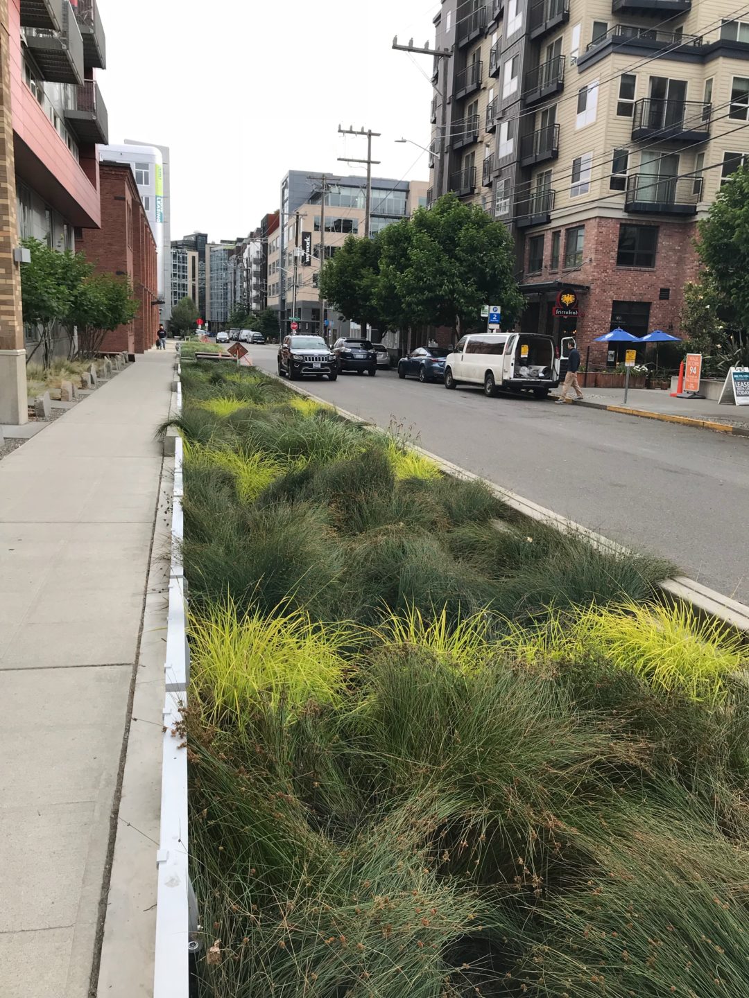 The Green Stormwater Infrastructure Overview and Accomplishment Report ...